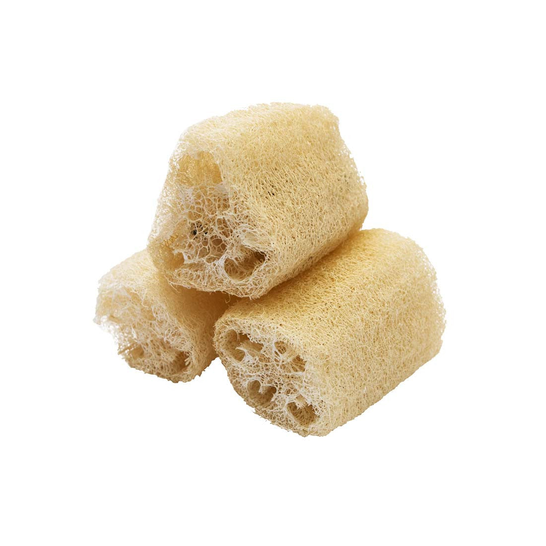 Natural Loofah (3-Pack) — Stockyard X 'The Leather Store'